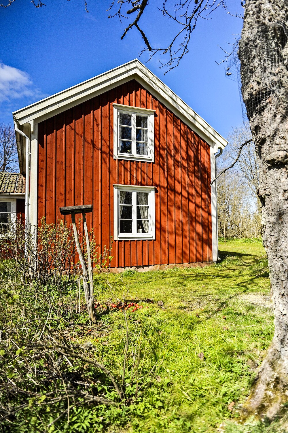 Sydved - Så underhåller du ditt torp