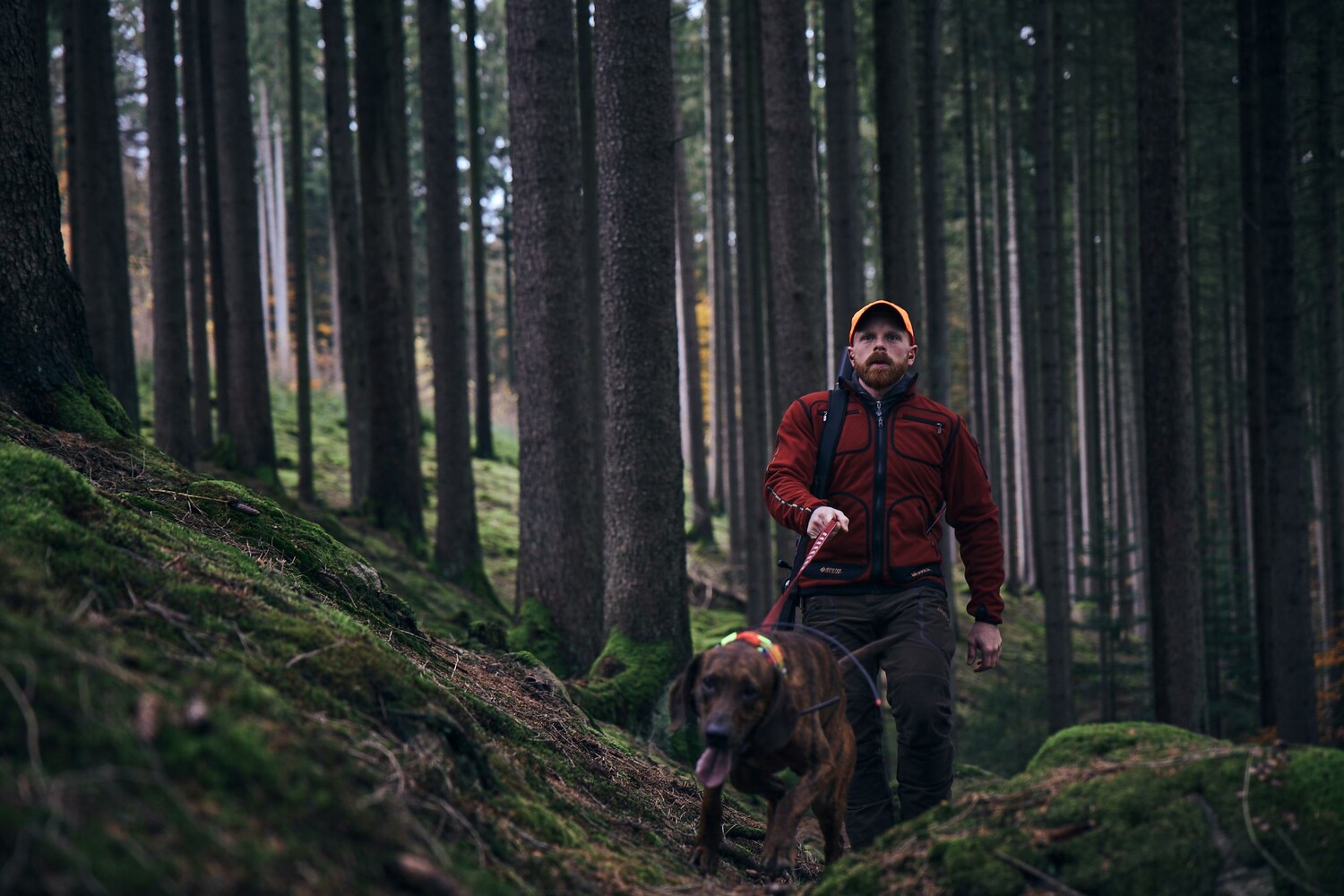 Sydved - "Du skapar inga bra hundar i hundgården!"