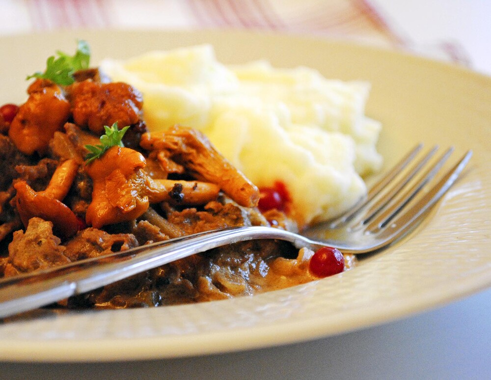 Sydved - Viltskav med lingon och kantareller