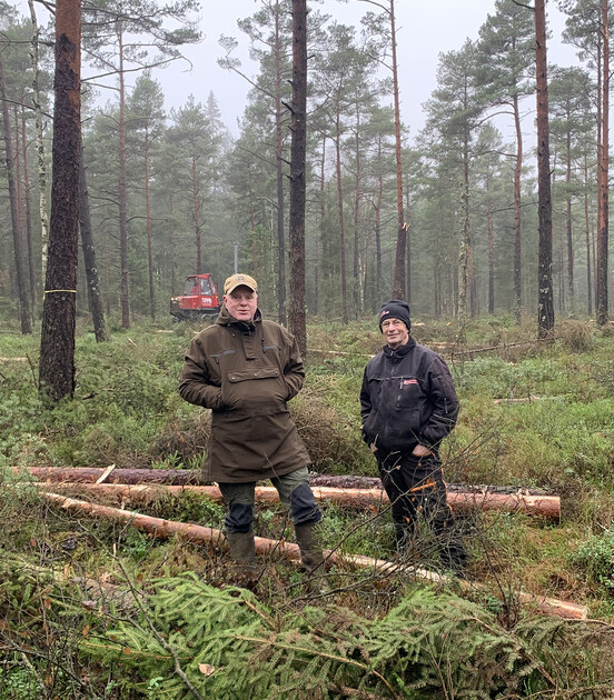 Sydved - Gallra dina produktiva mossmarker!